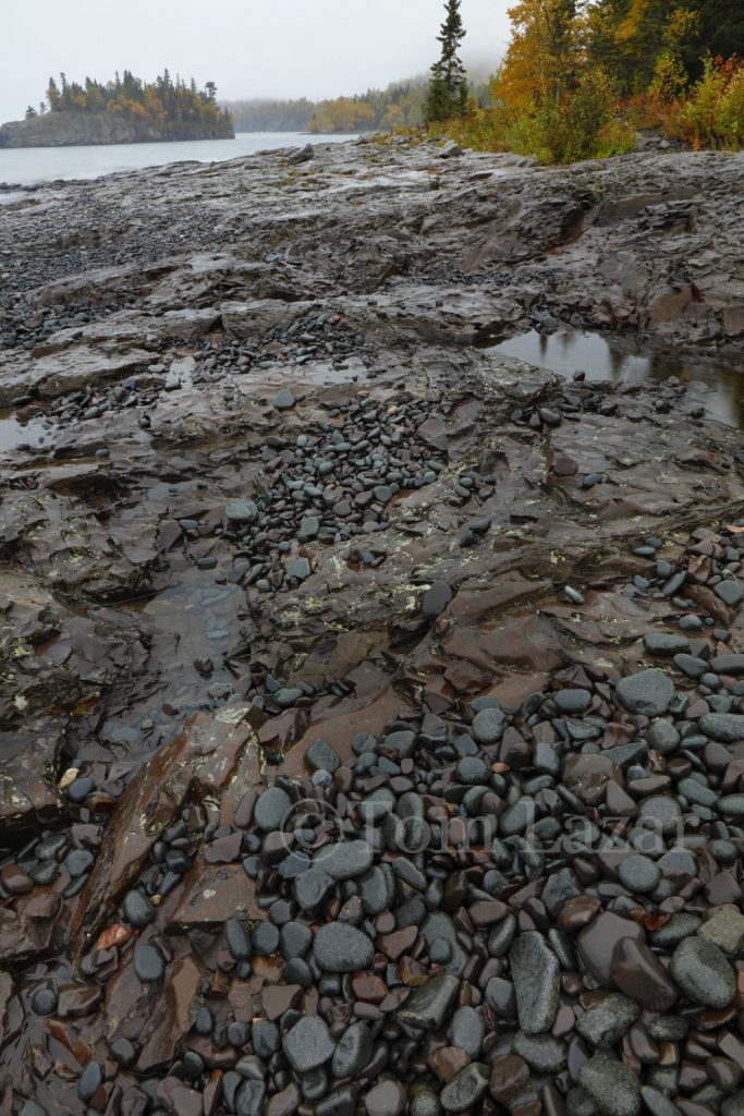 New Work - Lazar Art