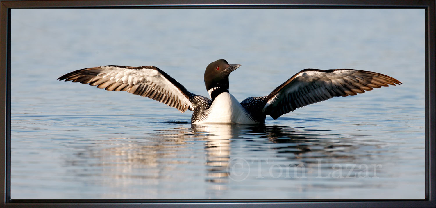 Elegance - Lazar Art